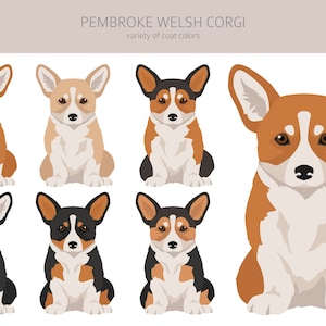 Welsh Corgi Pembroke Clipart Bundle, Pem Corgi Puppy Clipart, Dog High ...