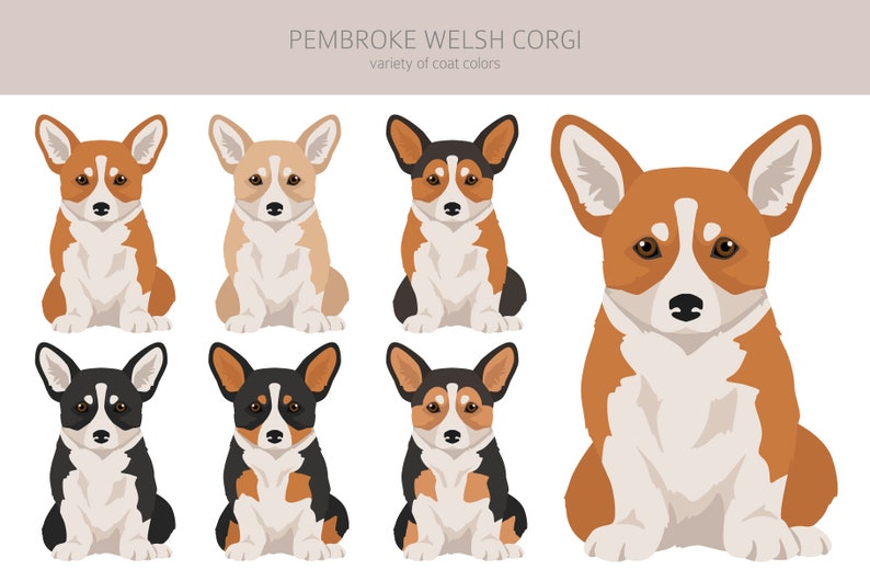 Welsh Corgi Pembroke Clipart Bundle, Pem Corgi Puppy Clipart, Dog High ...