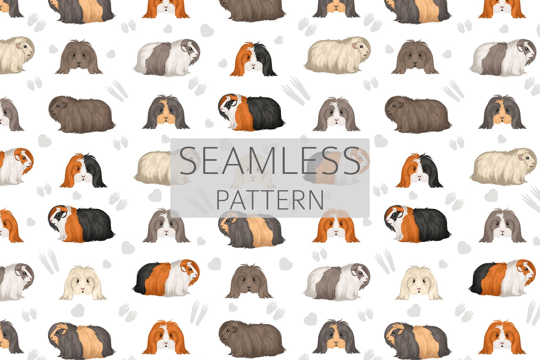 Peruvian Guinea Pig Pet Clipart for Commercial Use. Angora Cavy Custom ...