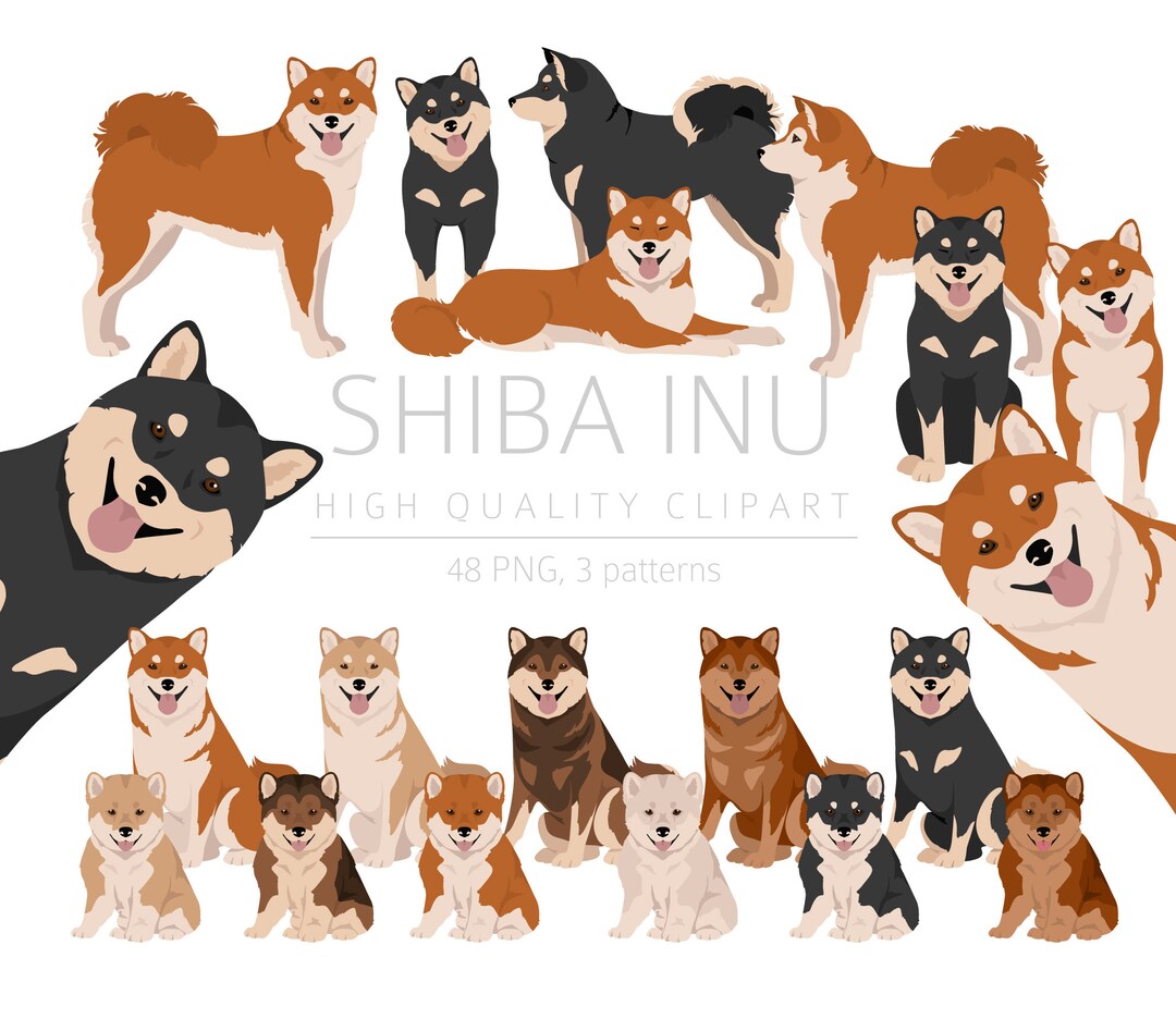 Shiba Inu Clipart Bundle, Shiba Inu Puppy Clipart, High Quality PNG ...