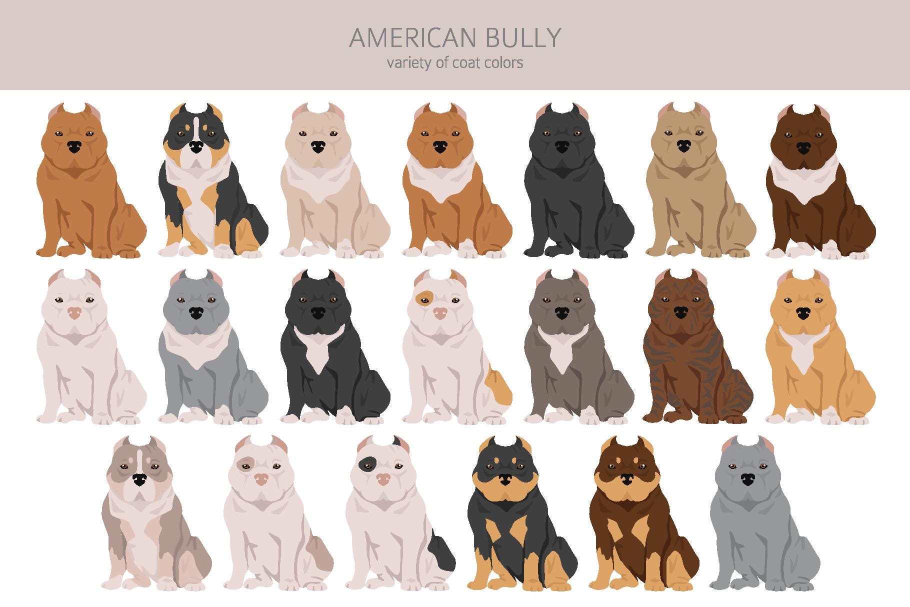 American Bully Clipart Bundle, Bully Puppy, Dog High Quality PNG, Gift ...
