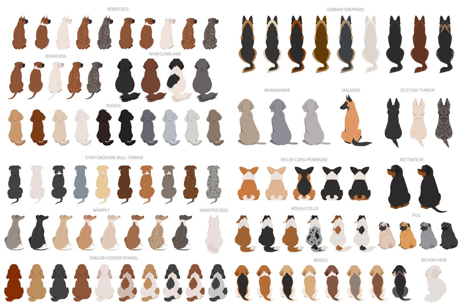 100 Backside Sitting Dog Breeds for Custom Portrait Creation. High ...