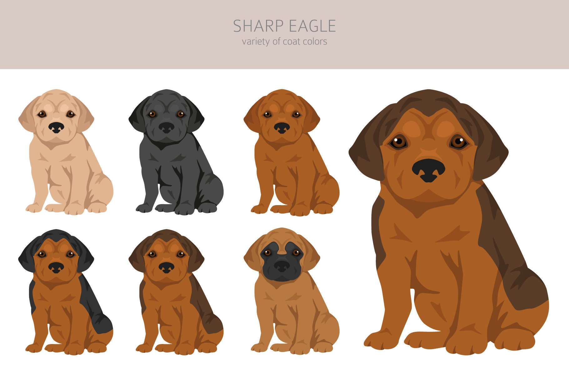 Shar Pei Beagle Poodle Mix Clipart Bundle, Sharp Eagle Puppies Clipart ...