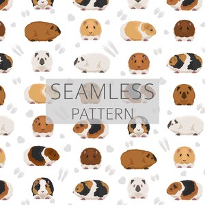 Teddy Guinea Pig Pet Clipart for Commercial Use. Teddy Pig Custom Coat ...