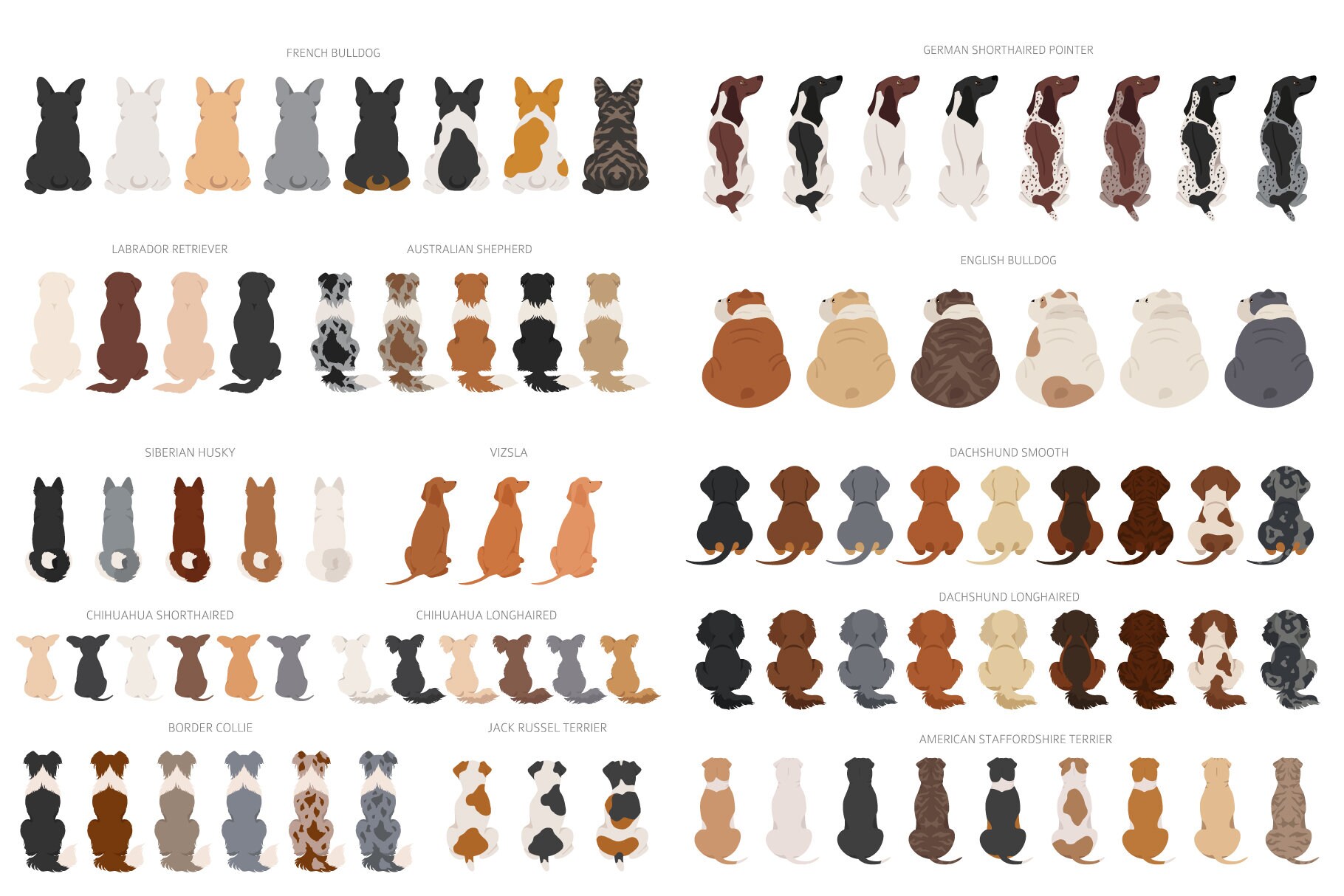 100 Backside Sitting Dog Breeds for Custom Portrait Creation. High ...