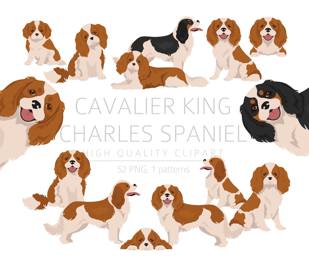 Cavalier King Charles Spaniel Clipart Bundle, Cavie Puppy Clipart, Dog ...