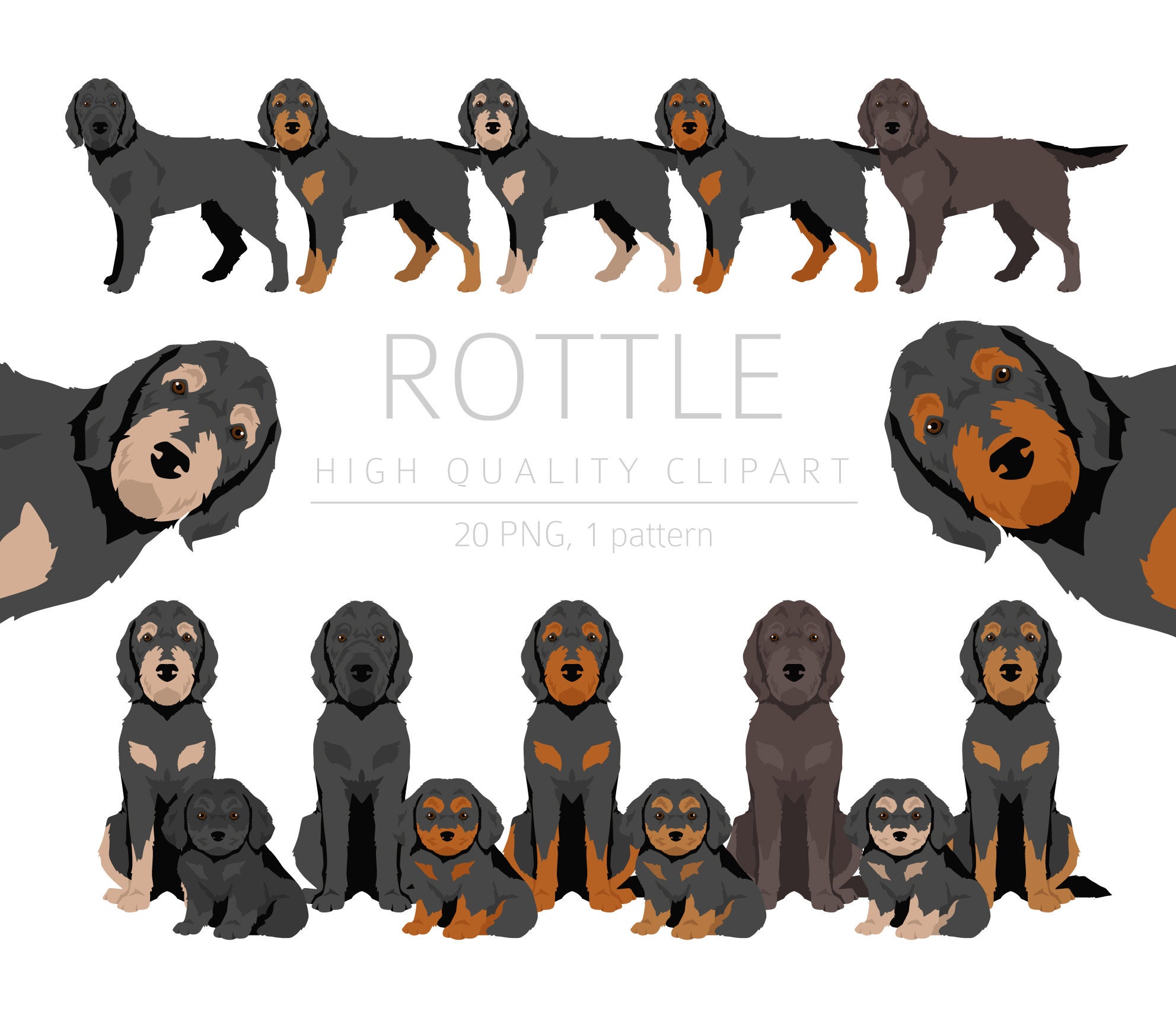 Rottweiler Poodle Mix Clipart Bundle, Rottle Puppies Clipart, Rottie ...