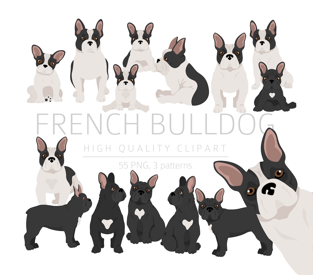 French Bulldog Clipart Bundle, Frenchie Clipart, Dogs High Quality PNG ...
