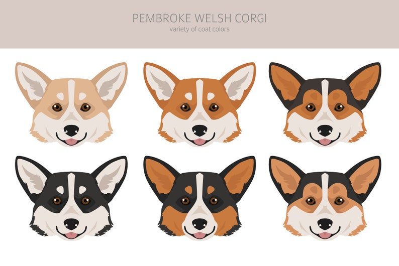 Welsh Corgi Pembroke Clipart Bundle, Pem Corgi Puppy Clipart, Dog High ...