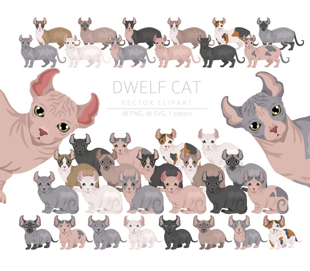 Dwelf Cat Clipart for Commercial Use, Dwarf Elf Cat Custom Coat Color ...