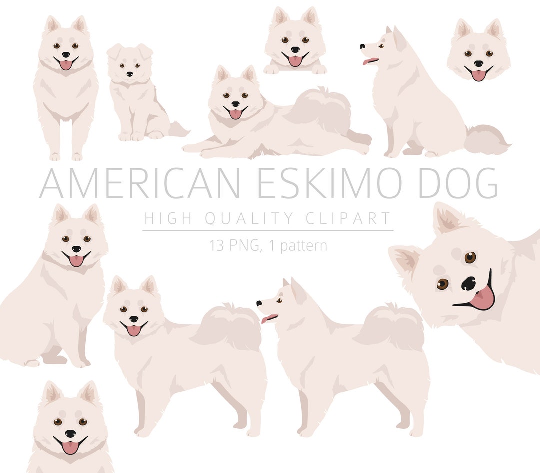 American Eskimo Dog Clipart Bundle, Eskimo Puppy Clipart, Dog High ...