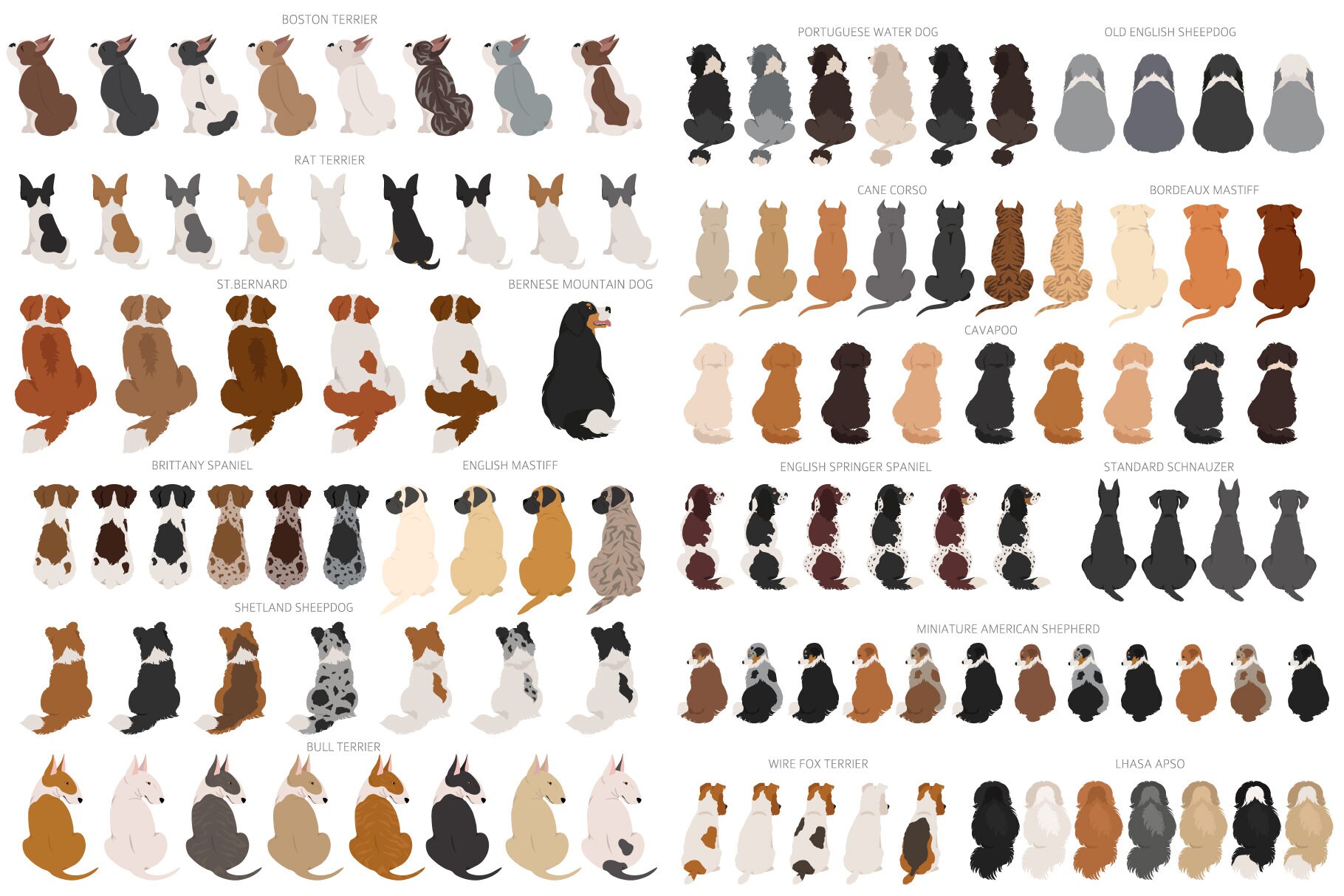 100 Backside Sitting Dog Breeds for Custom Portrait Creation. High ...