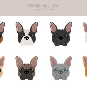 French Bulldog Clipart Bundle, Frenchie Clipart, Dogs High Quality PNG ...
