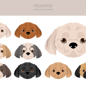 Pekingese Poodle Mix Clipart Bundle, Peekapoo Puppies Clipart, Pekeapoo ...