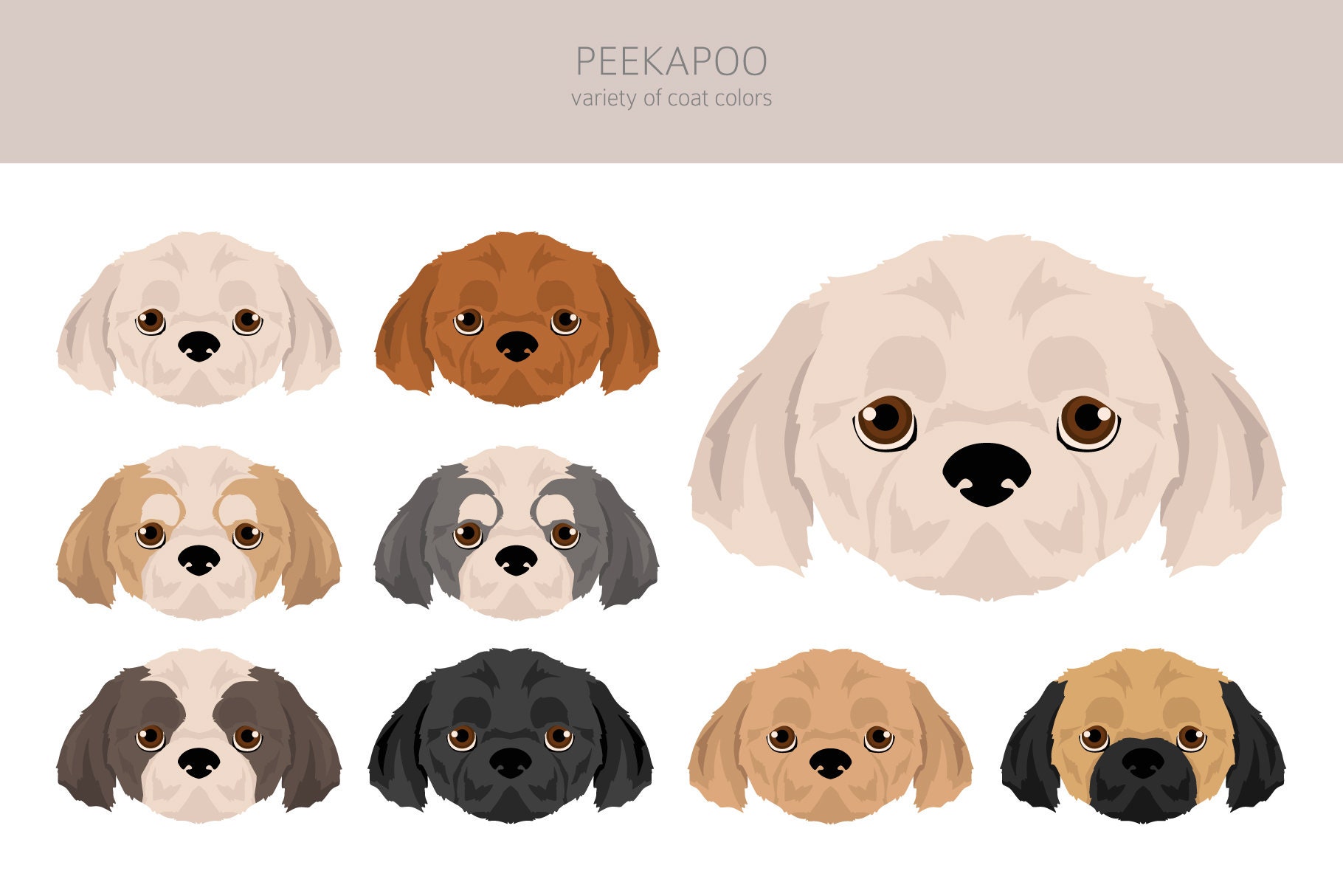 Pekingese Poodle Mix Clipart Bundle, Peekapoo Puppies Clipart, Pekeapoo ...