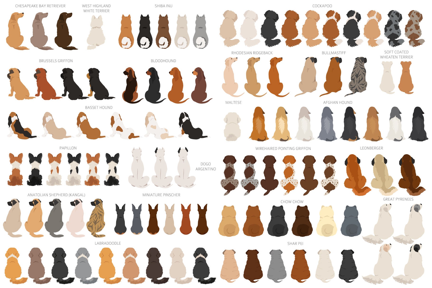 100 Backside Sitting Dog Breeds for Custom Portrait Creation. High ...