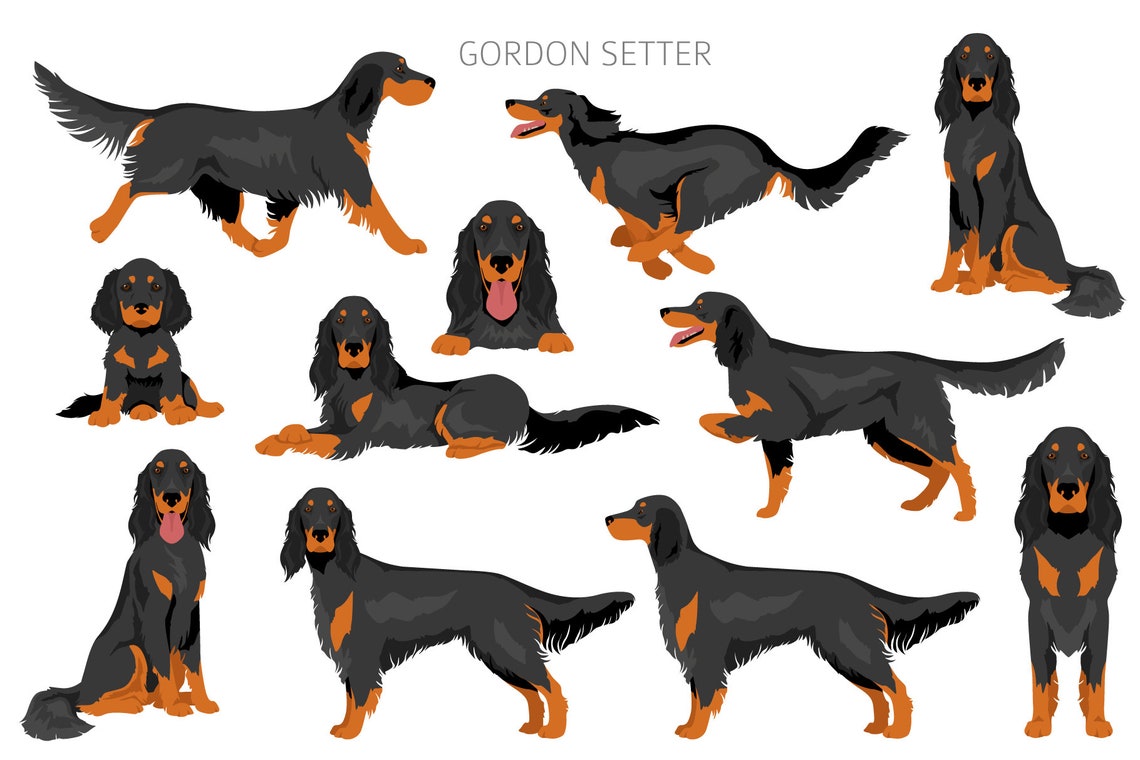 Gordon Setter Clipart Bundle, Setter Puppy Clipart, Dog High Quality ...