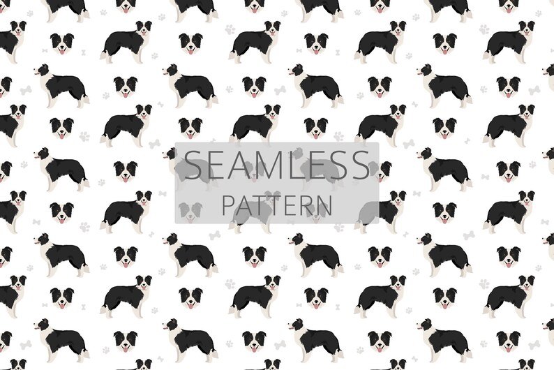 Border Collie Clipart Bundle, Border Collie Puppy Clipart, Dog High ...