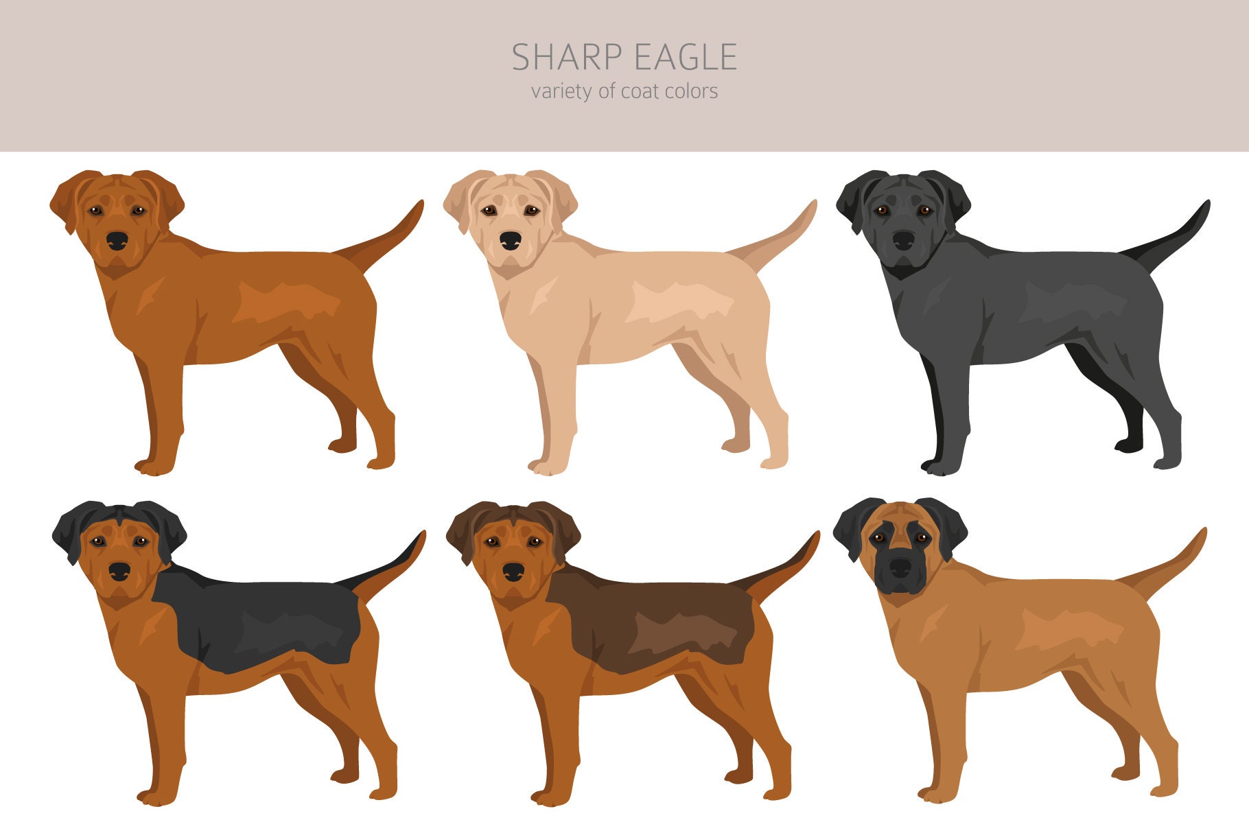 Shar Pei Beagle Poodle Mix Clipart Bundle, Sharp Eagle Puppies Clipart ...