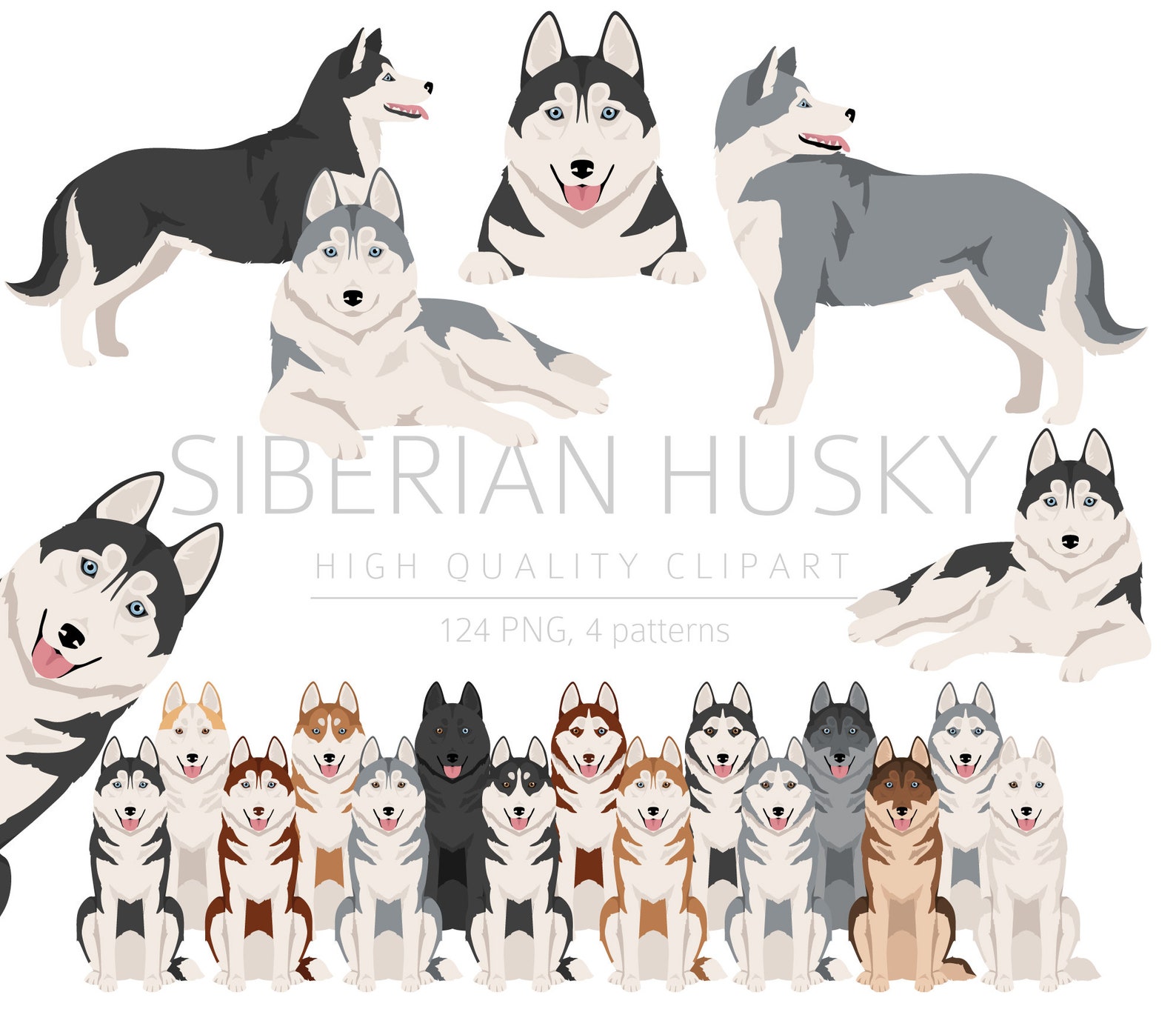 Siberian Husky Clipart Bundle, Husky Puppy Clipart, Dog High Quality ...