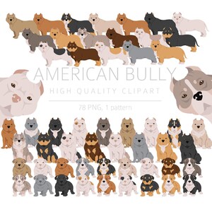American Bully Clipart Bundle, Bully Puppy, Dog High Quality PNG, Gift ...