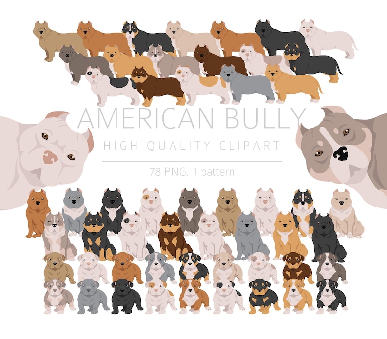 American Bully Clipart Bundle, Bully Puppy, Dog High Quality PNG, Gift ...