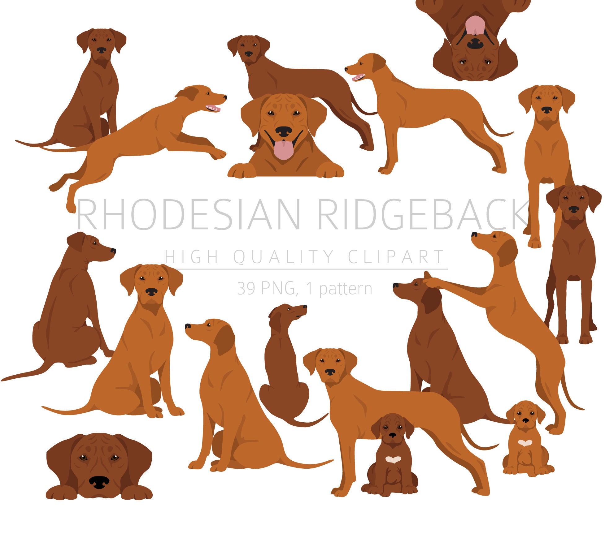 Rhodesian Ridgeback Clipart Bundle, Puppy Clipart, High Quality PNG ...
