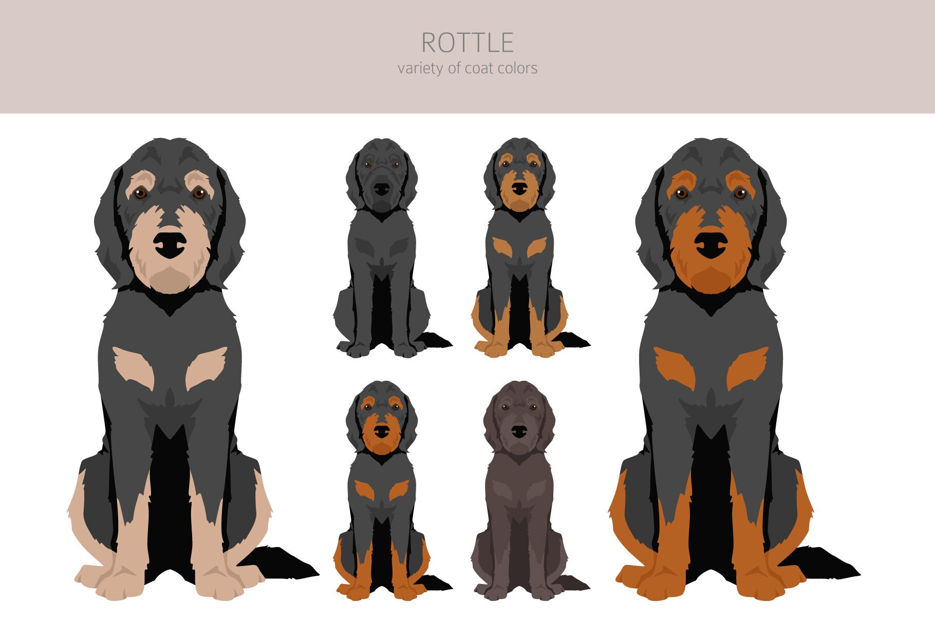 Rottweiler Poodle Mix Clipart Bundle, Rottle Puppies Clipart, Rottie ...