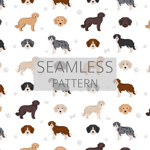Border Collie Poodle Mix Clipart Bundle, Bordoodle Puppies Clipart ...