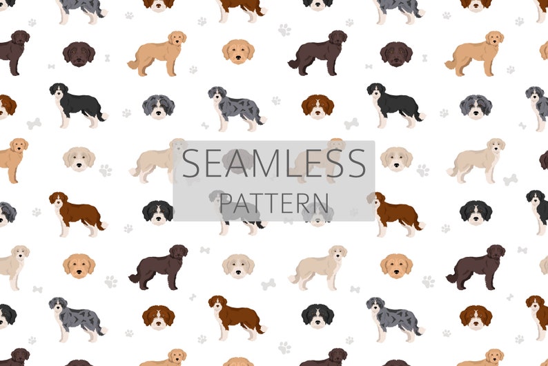 Border Collie Poodle Mix Clipart Bundle, Bordoodle Puppies Clipart ...