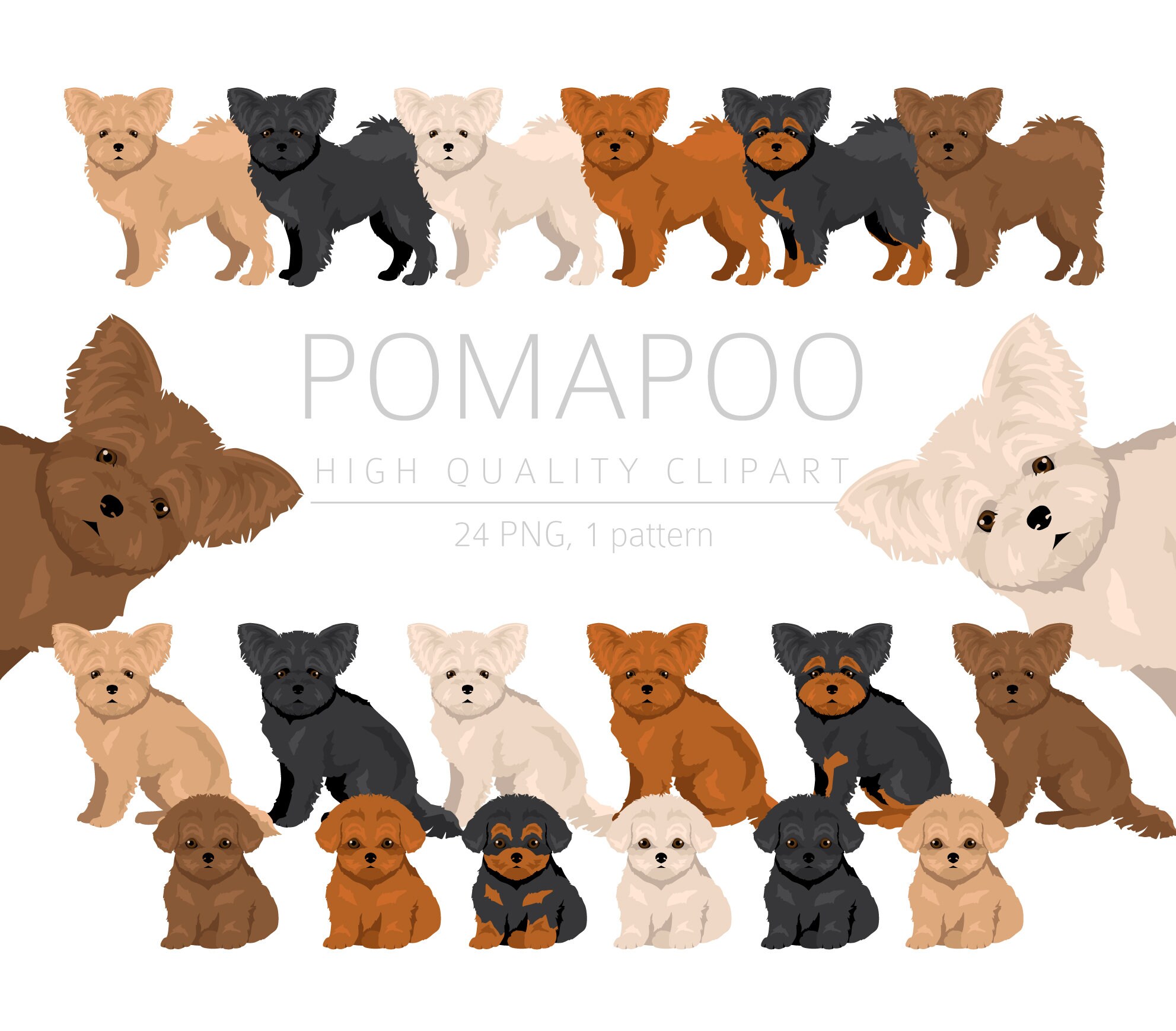 Pomeranian Poodle Mix Clipart Bundle, Pomapoo Puppies Clipart ...