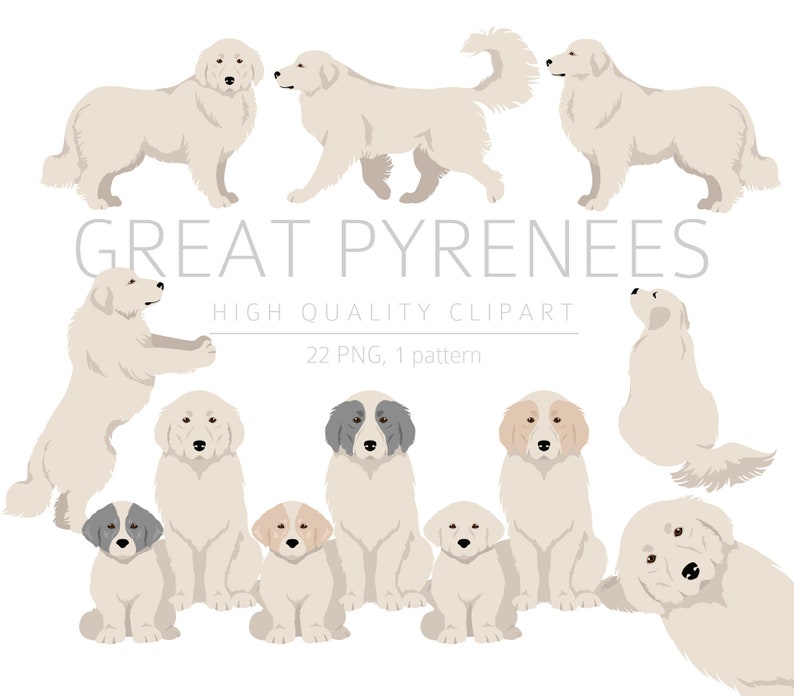 Great Pyrenees Clipart Bundle, Pyrenean Shepherd Puppy Clipart, Dog ...