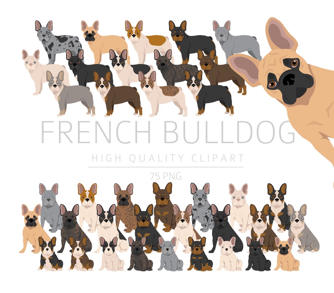 French Bulldog Clipart Bundle, Frenchie Clipart, Dogs High Quality PNG ...