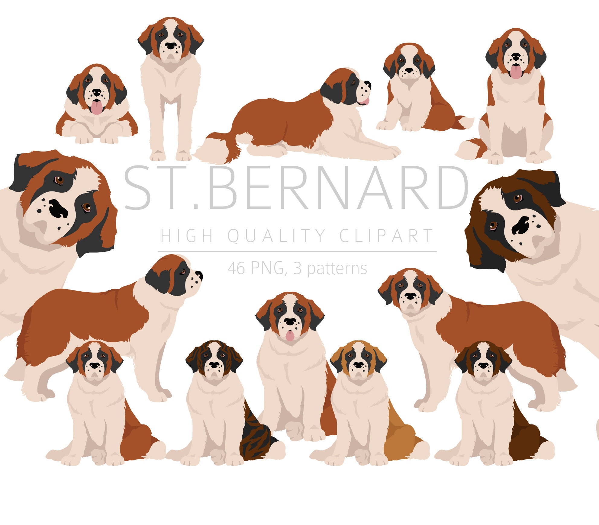 St Bernard Clipart Bundle, St Bernard Puppy Clipart, Dog High Quality ...