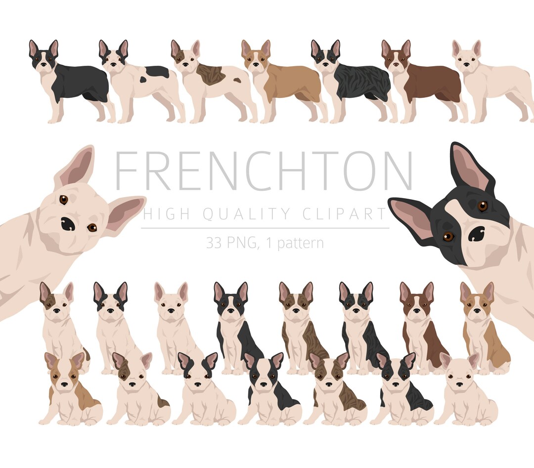 French Bulldog Boston Terrier Mix Clipart Bundle, Frenchton Puppies ...