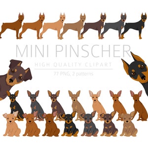 Miniature Pinscher Clipart Bundle, Miniature Pinscher Puppy Clipart ...