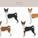 Basenji Dog Clipart Bundle, Basenji Puppy Clipart, High Quality PNG ...