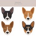 Basenji Dog Clipart Bundle, Basenji Puppy Clipart, High Quality PNG ...
