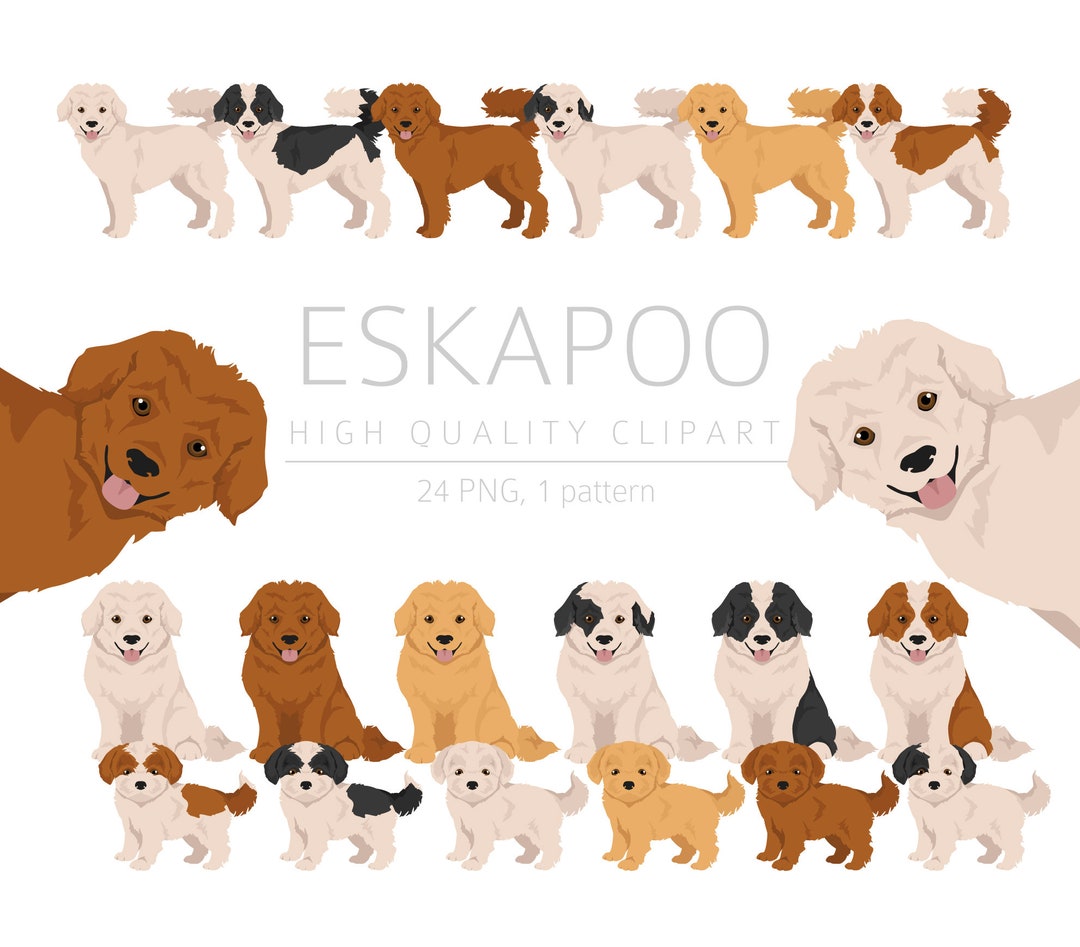 Eskimo Dog Poodle Mix Clipart Bundle, Eskapoo Puppies Clipart, Eskimo ...