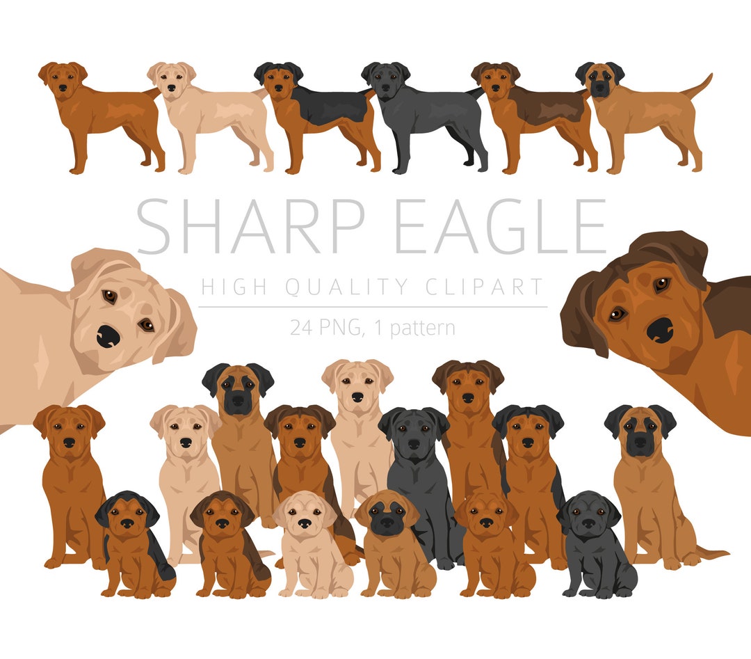 Shar Pei Beagle Poodle Mix Clipart Bundle, Sharp Eagle Puppies Clipart ...