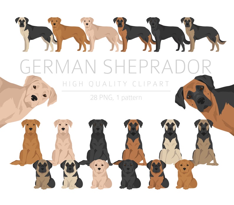 German Shepherd Lab Mix Clipart Bundle, German Sheprador Puppy Clipart ...