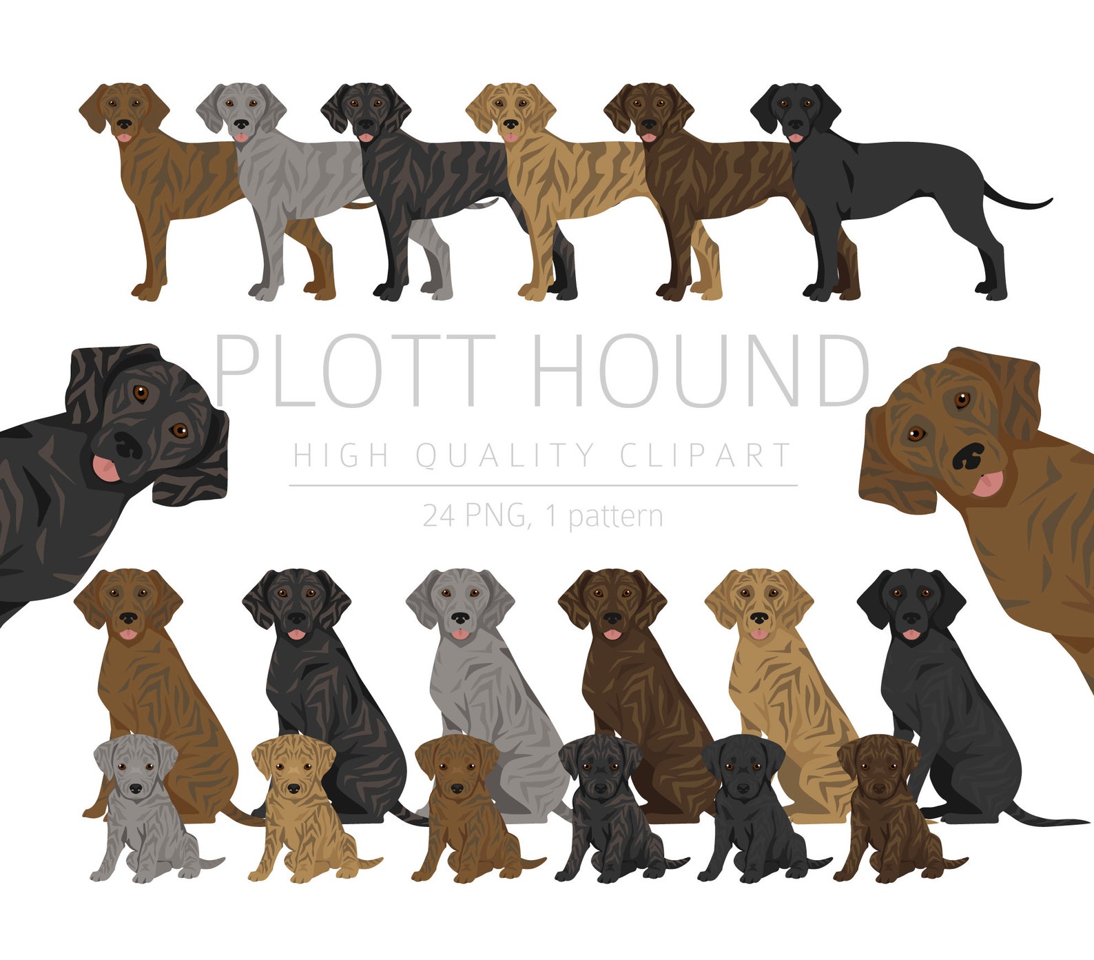 Plott Hound Clipart Bundle, Plott Hound Puppy Clipart, High Quality PNG ...