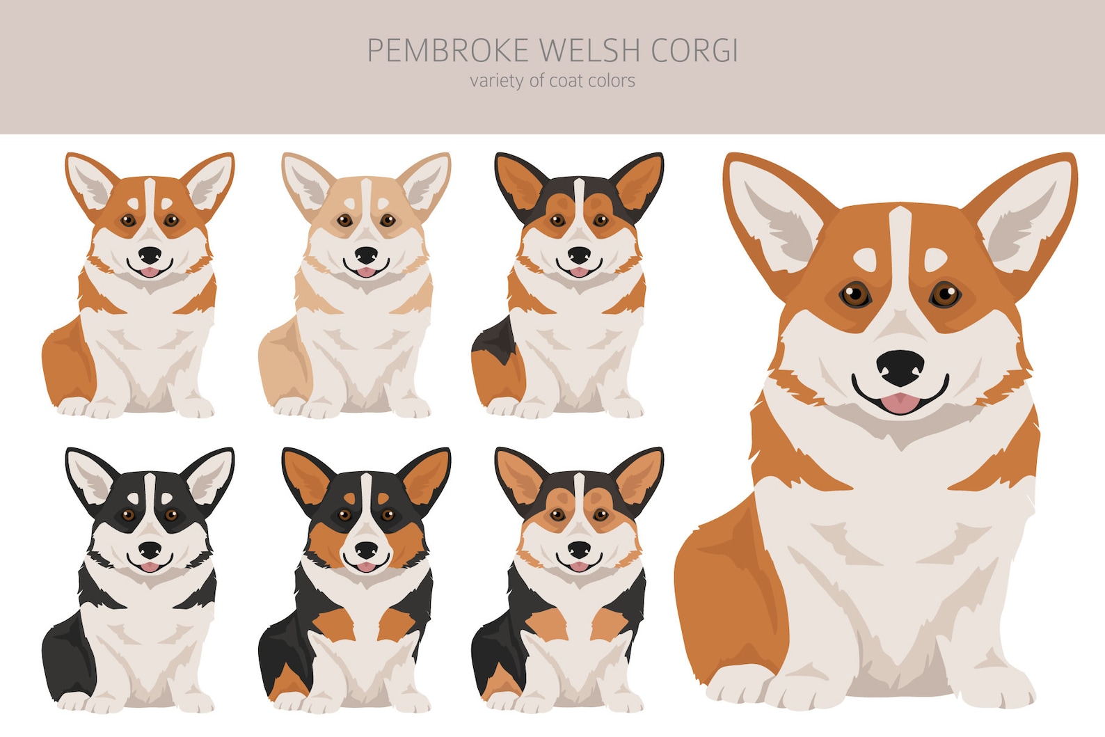 Welsh Corgi Pembroke Clipart Bundle, Pem Corgi Puppy Clipart, Dog High ...