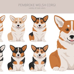 Welsh Corgi Pembroke Clipart Bundle, Pem Corgi Puppy Clipart, Dog High ...