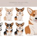 Welsh Corgi Pembroke Clipart Bundle, Pem Corgi Puppy Clipart, Dog High ...