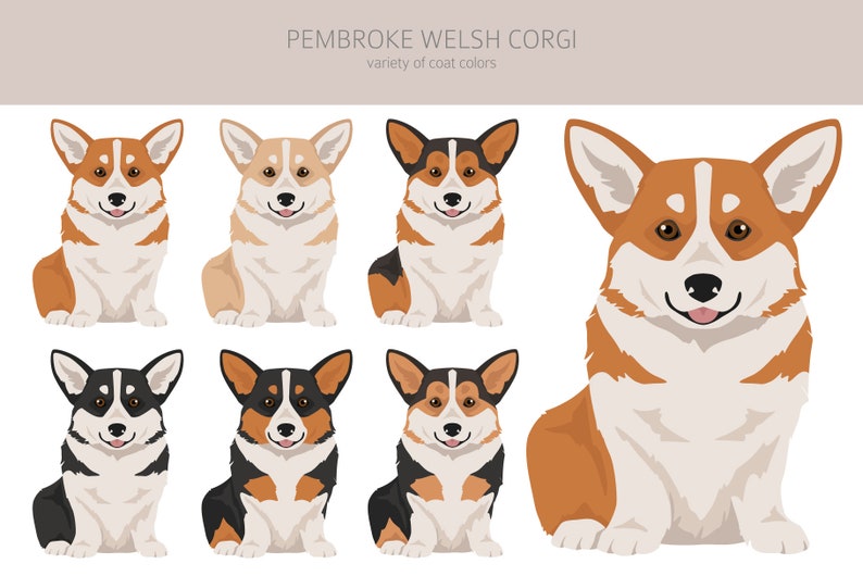 Welsh Corgi Pembroke Clipart Bundle, Pem Corgi Puppy Clipart, Dog High ...