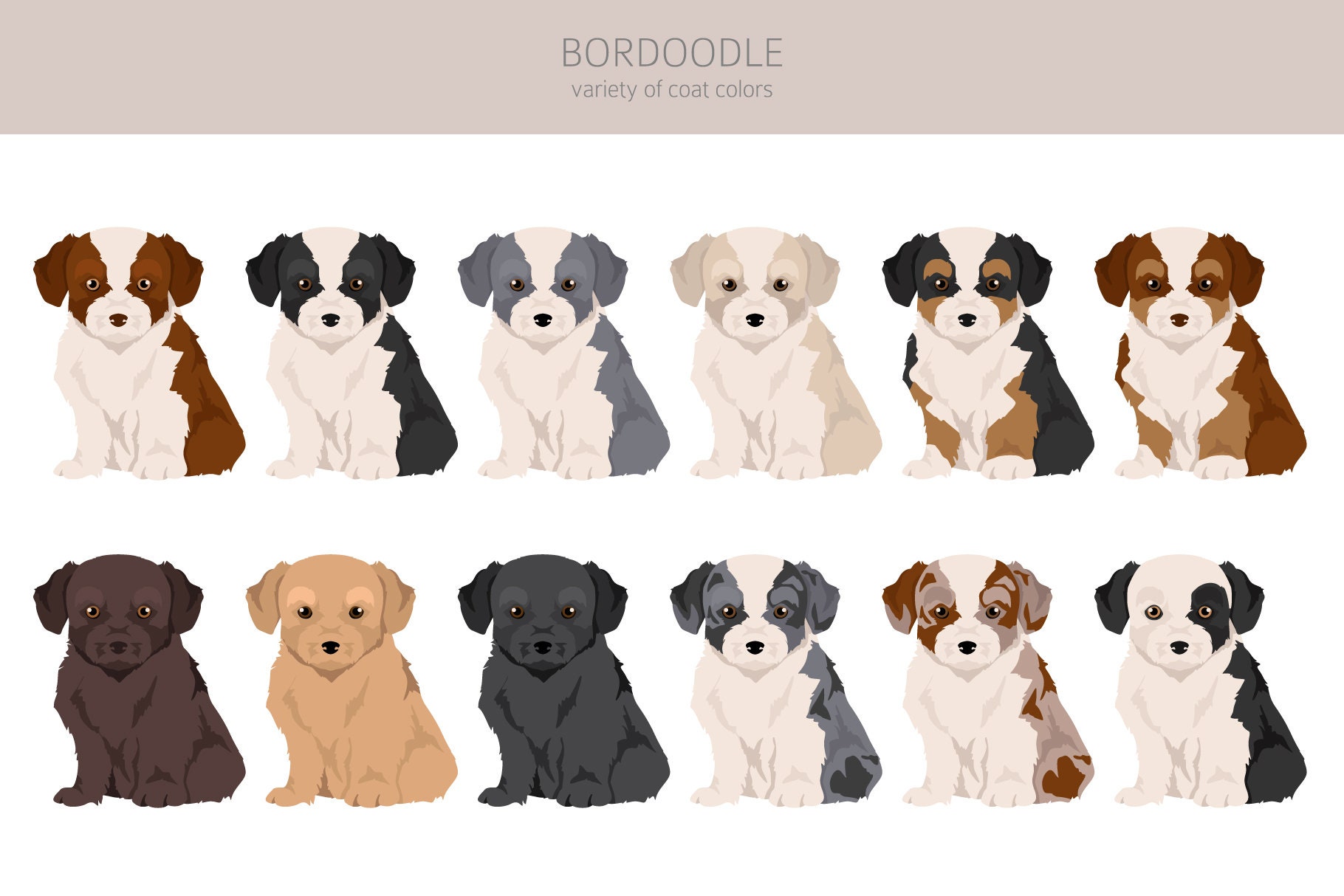 Border Collie Poodle Mix Clipart Bundle, Bordoodle Puppies Clipart ...