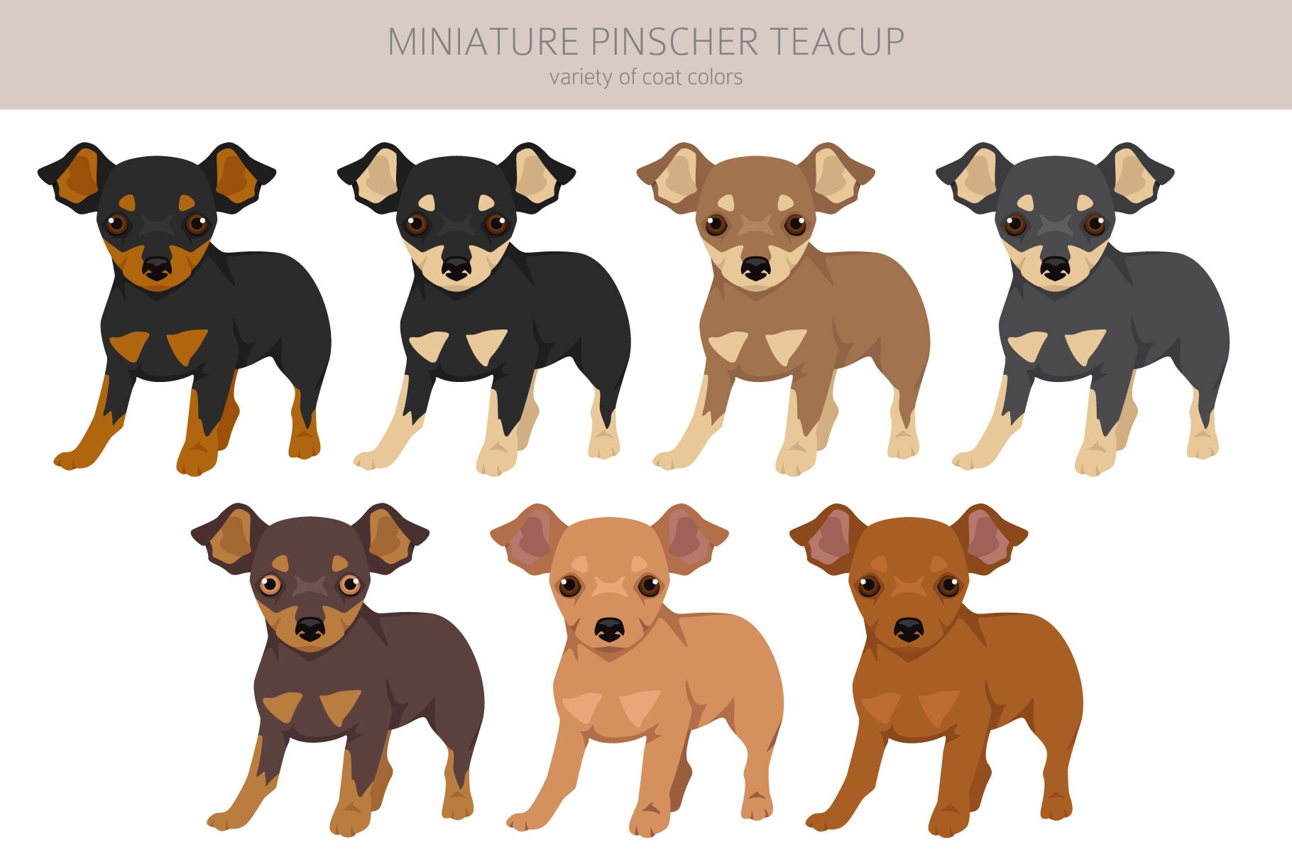 Teacup Miniature Pinscher Clipart Bundle, Puppy Clipart, High Quality ...