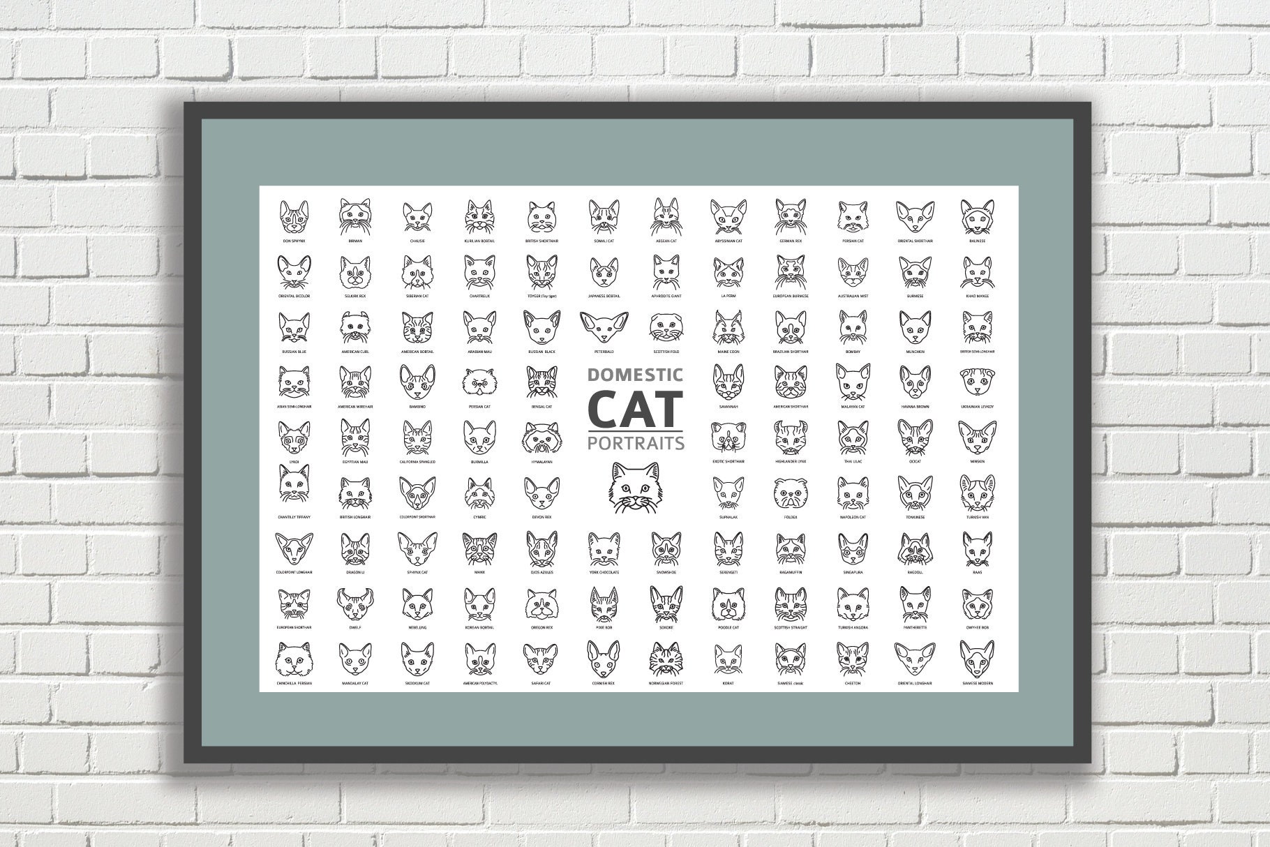 Cat Portrait Simple Line Clipart Bundle, High Quality PNG, Gift for ...