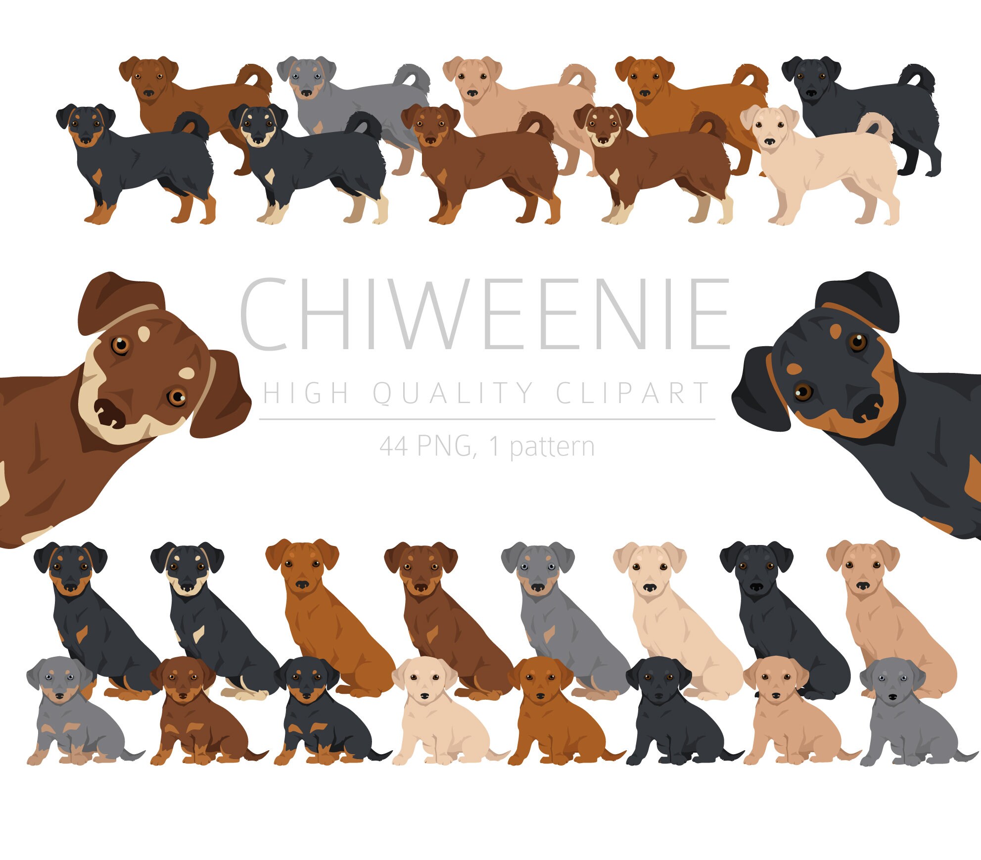 Chihuahua Dachshund Mix Clipart Bundle, Chiweenie Puppy Clipart ...